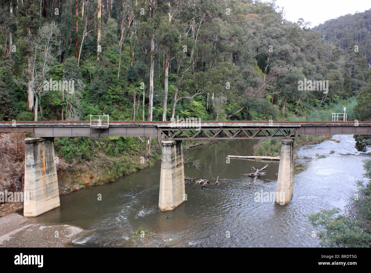 THE WALHALLA GOLDFIELDS BRIDGE SPANNING THE THOMSON RIVER WALHALLA ...