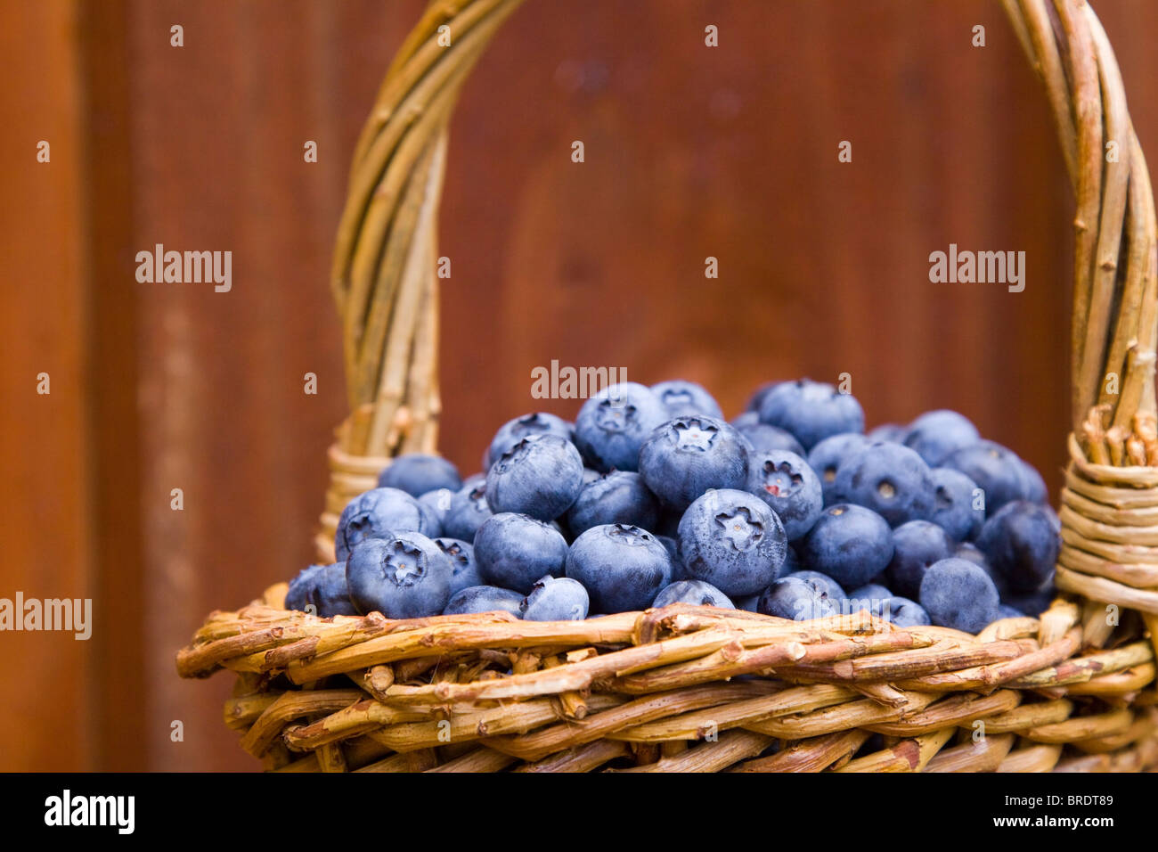 Freshly Picked Blueberries Stock Photo - Alamy