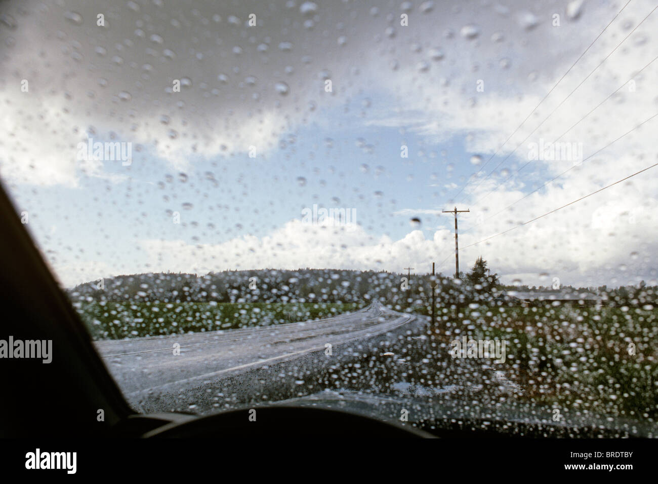 Rain Storm Drops