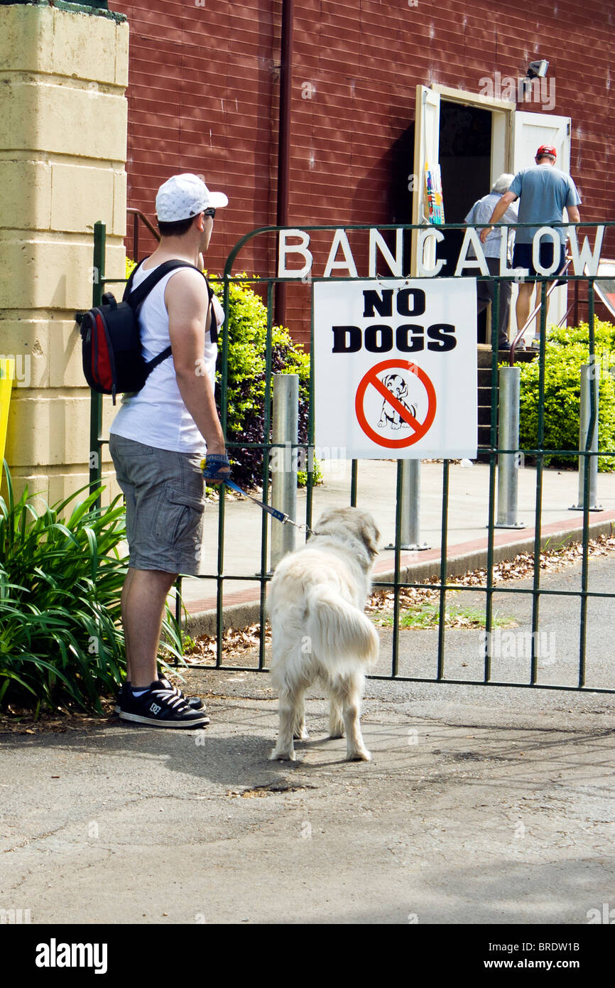 No entry for dogs hi-res stock photography and images - Alamy