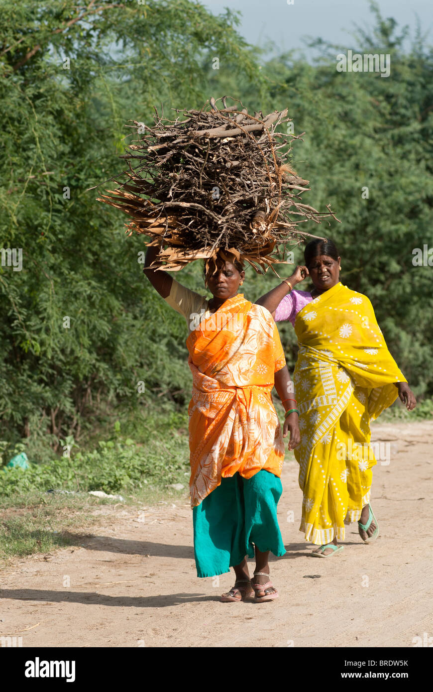 A Woman Carrying Firewood Stock Photos & A Woman Carrying Firewood ...