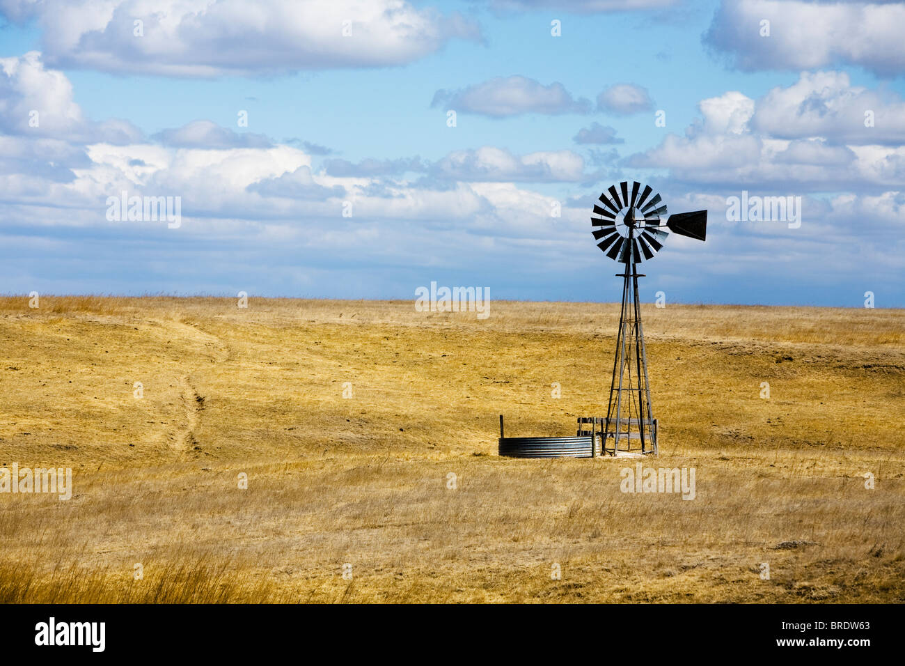 An old fashioned water pumping windmill in pasture Stock Photo - Alamy