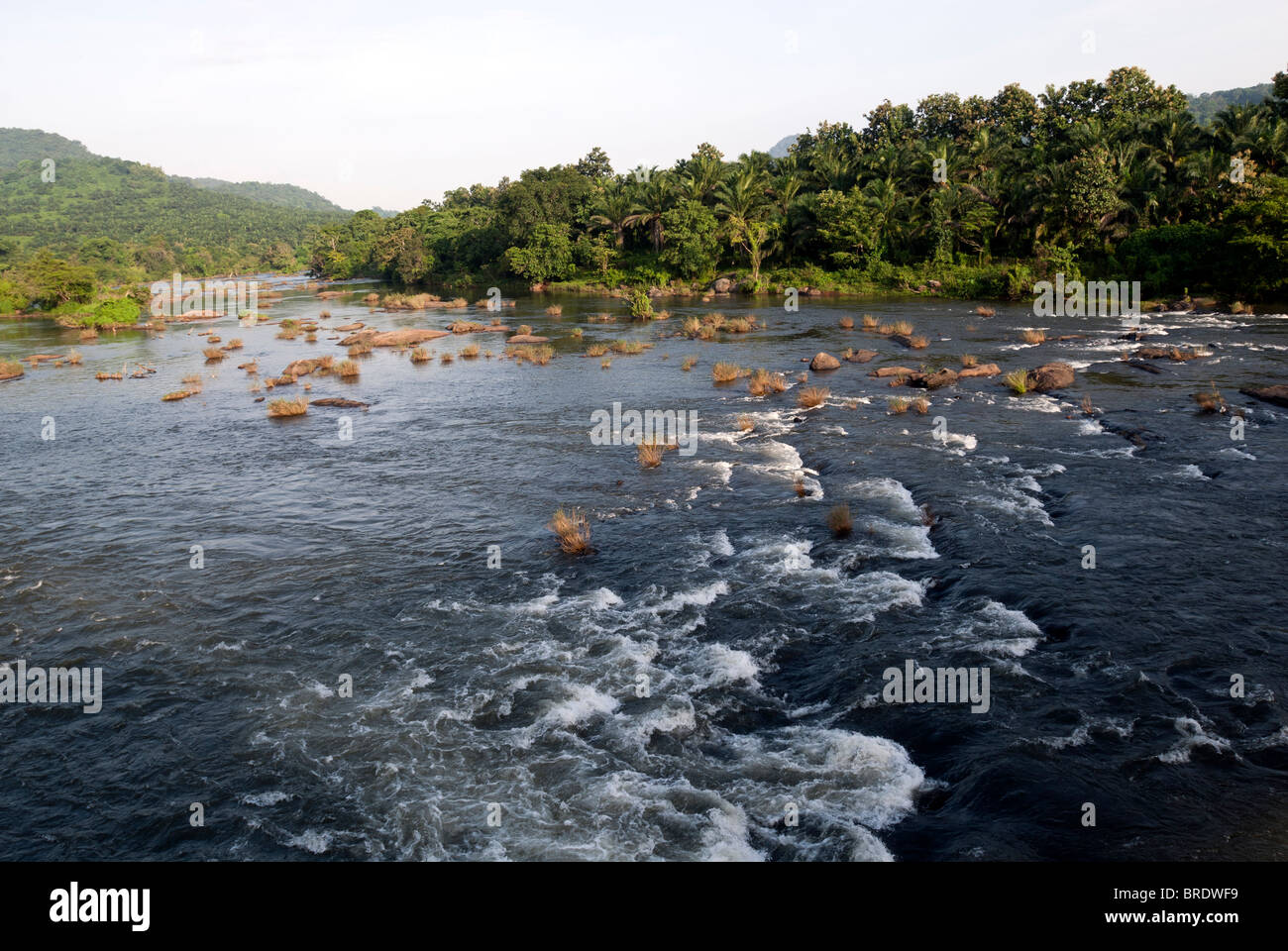 Chalakkudy river on edge of Sholayar forest range ; Kerala ; India ...