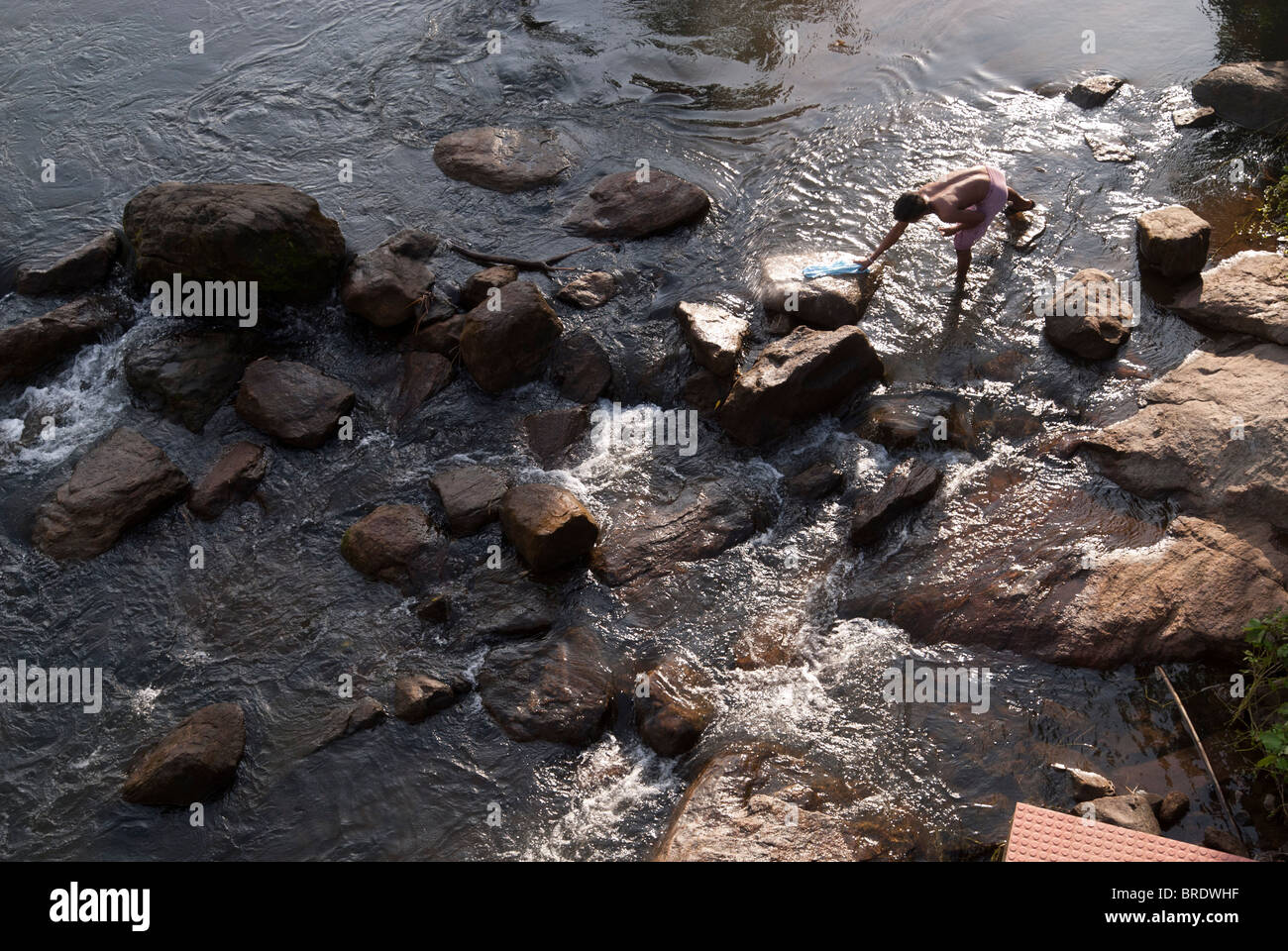 Chalakkudy river on edge of Sholayar forest range ; Kerala ; India ...