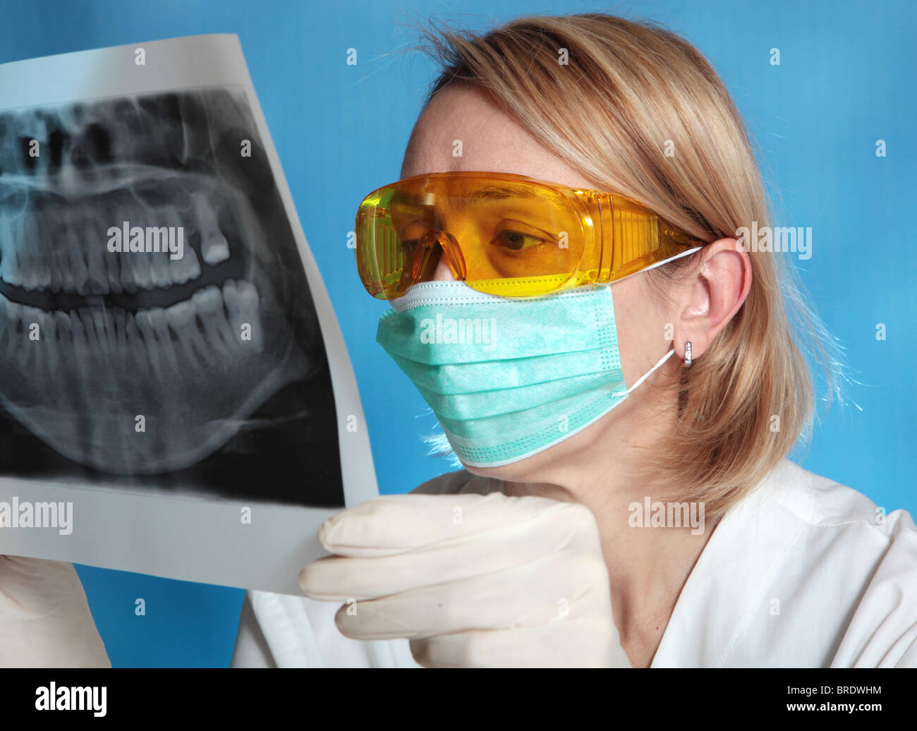 Doctor female doctor with jaw x-ray Stock Photo - Alamy