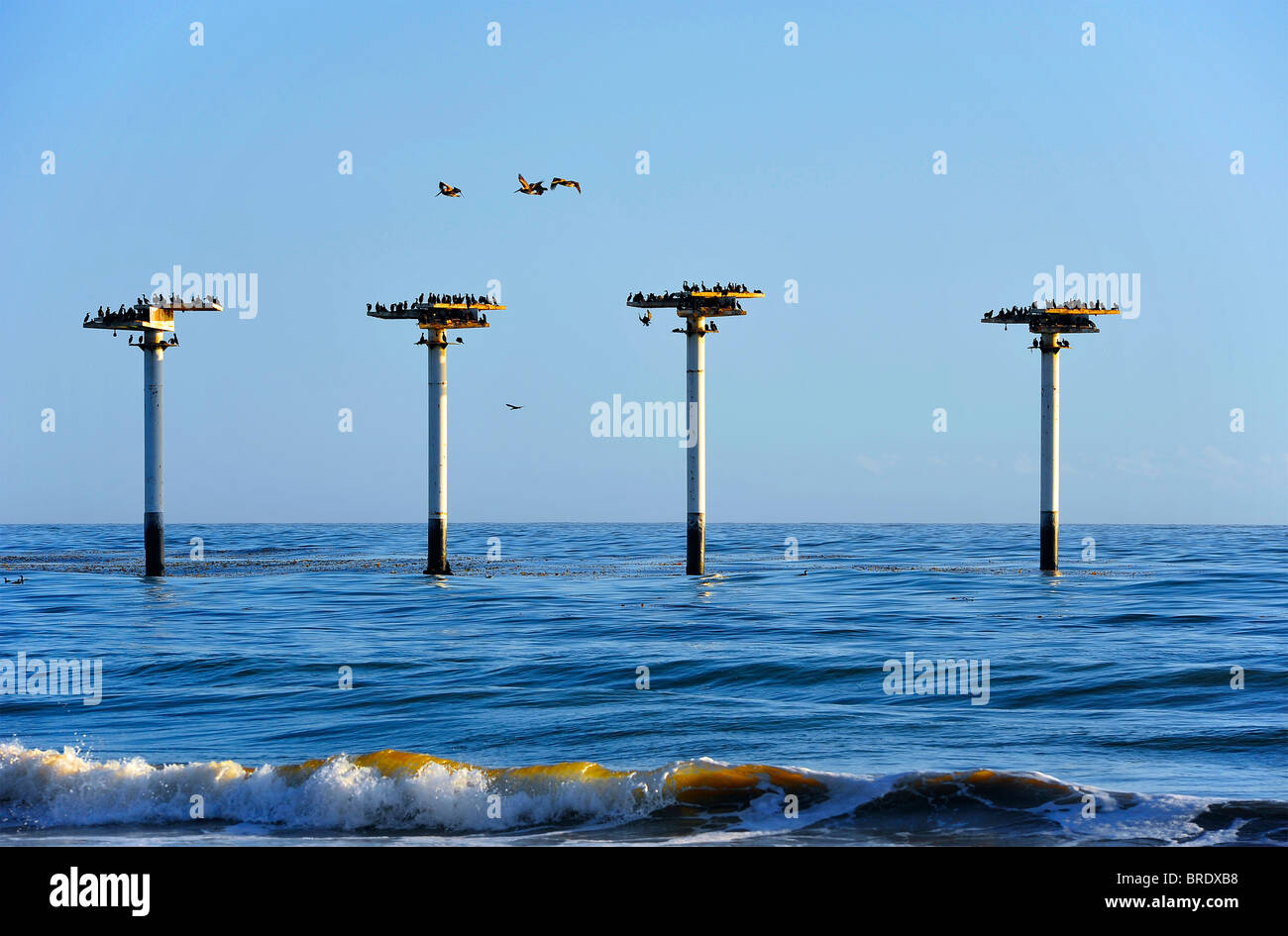 An old Venoco oil platform columns at Goleta beach, California Stock ...
