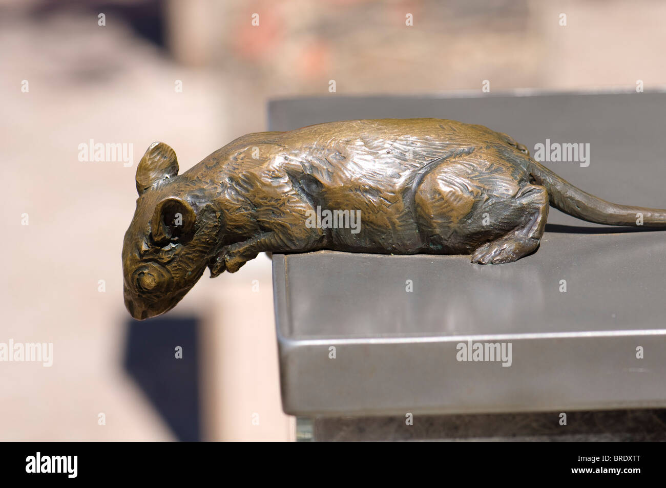 Rat art hi-res stock photography and images - Alamy