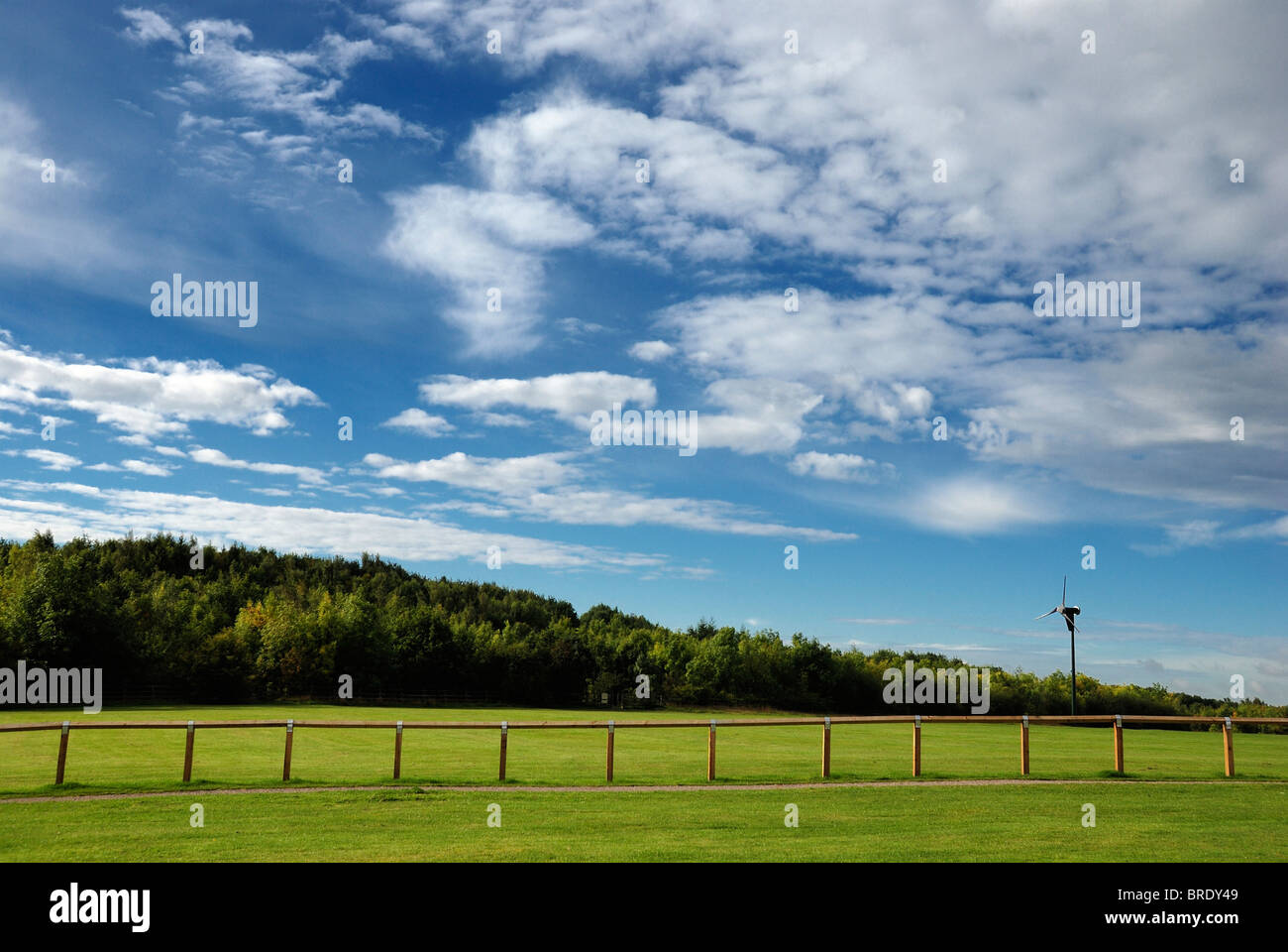 shipley country park Derbyshire england uk Stock Photo - Alamy