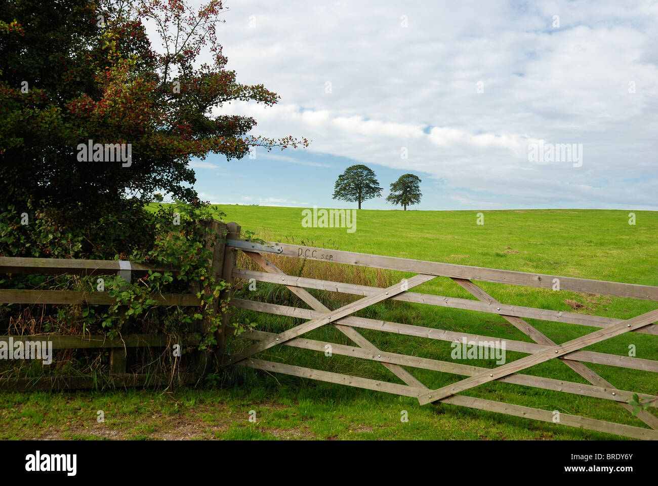 shipley country park Derbyshire england uk Stock Photo - Alamy
