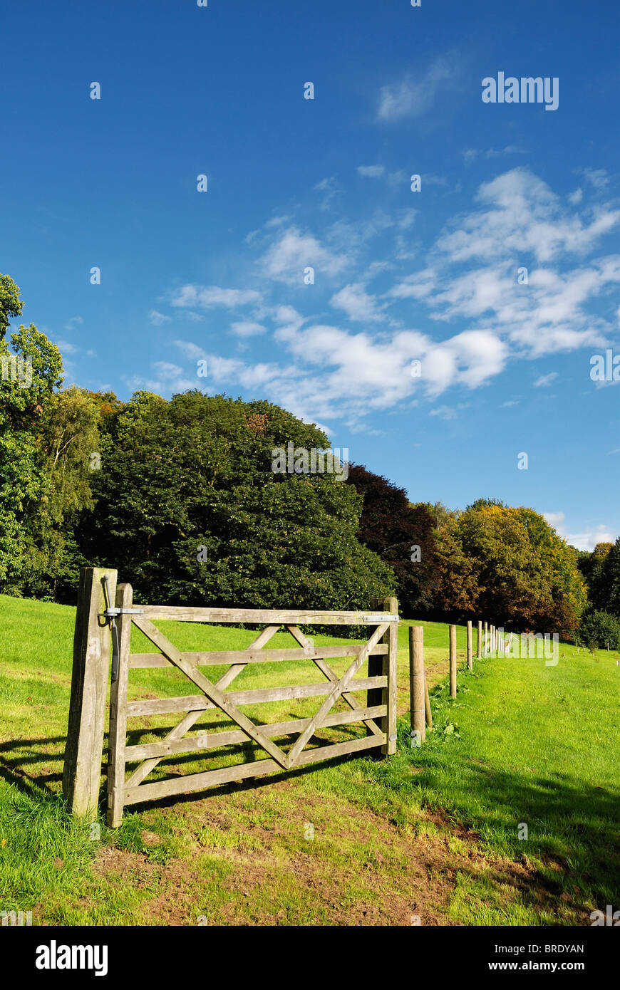 shipley country park Derbyshire england uk Stock Photo - Alamy