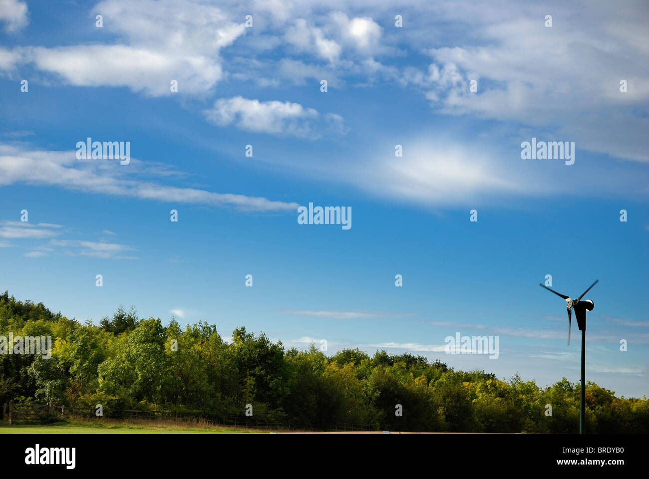 shipley country park Derbyshire england uk Stock Photo - Alamy