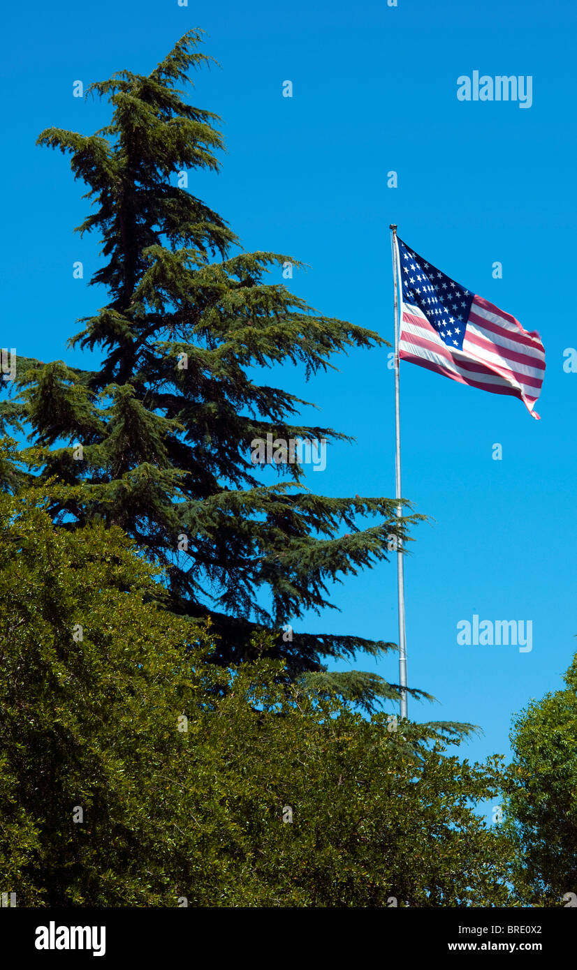 Tall flag pole hi-res stock photography and images - Alamy
