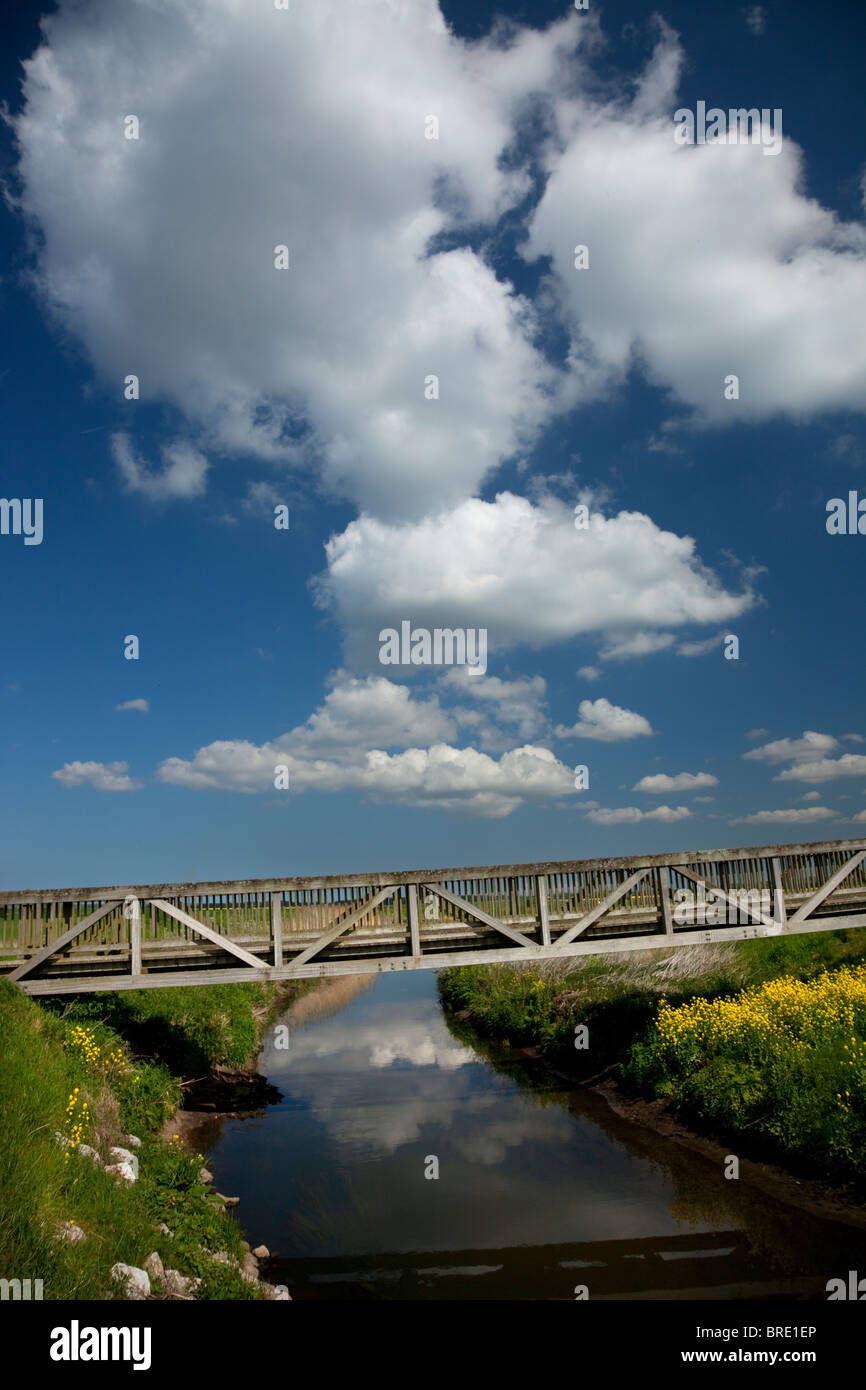Lunt hi-res stock photography and images - Alamy