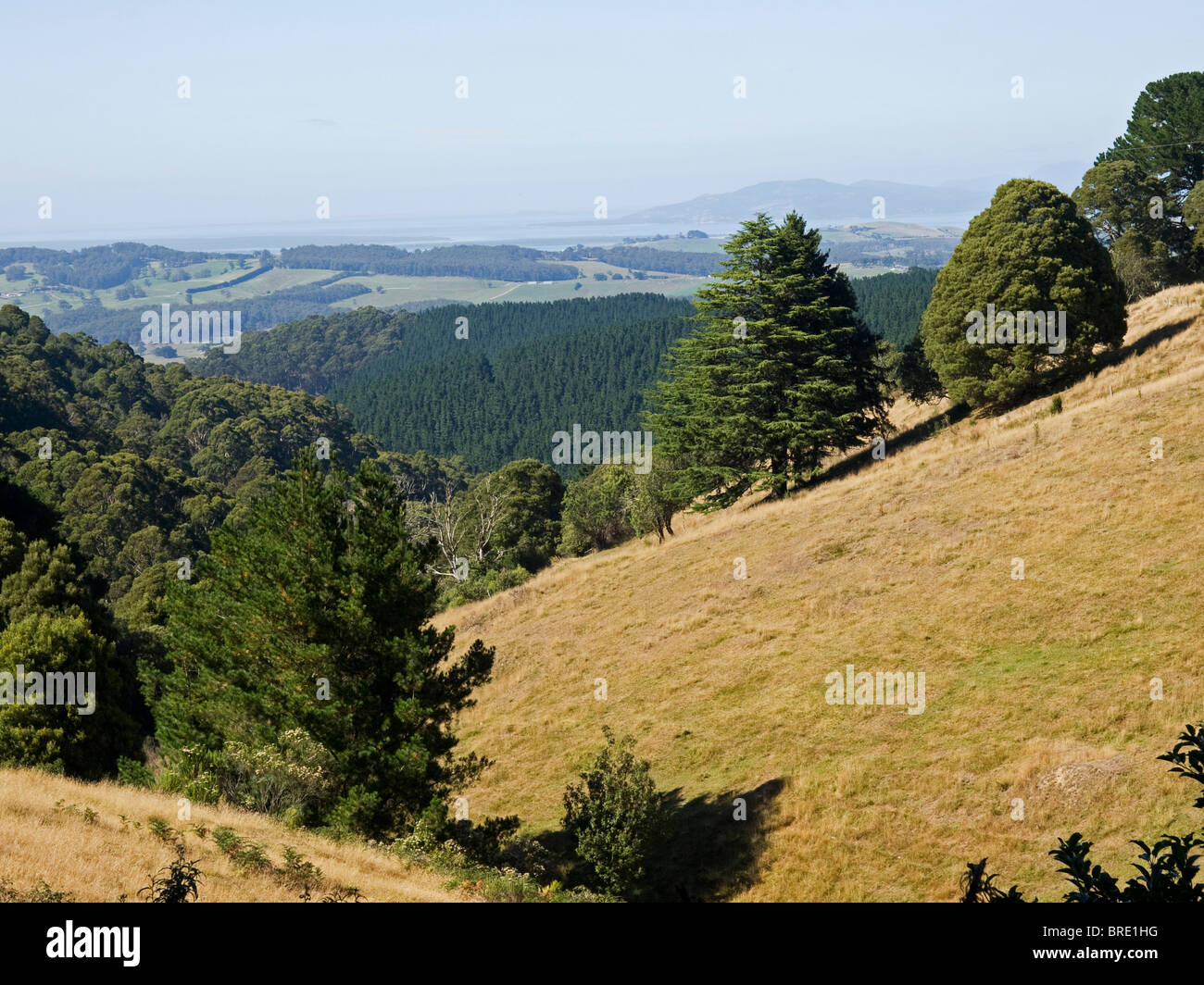 VIEW OF ROLLING FARM LAND AND FOREST FROM THE GRAND RIDGE ROAD ...