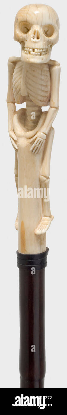 Human skeleton cut out hi-res stock photography and images - Alamy