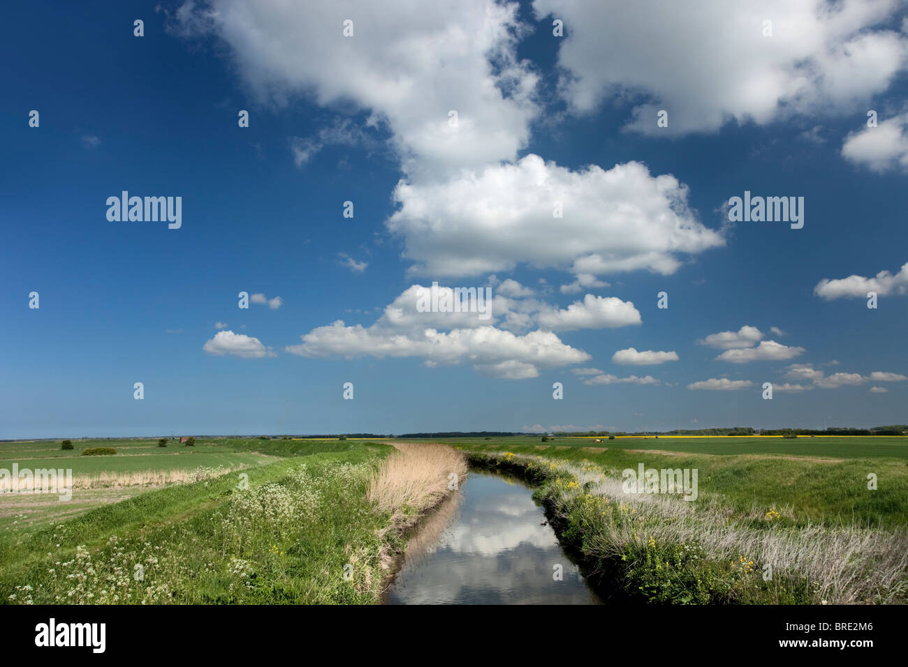 Lunt hi-res stock photography and images - Alamy