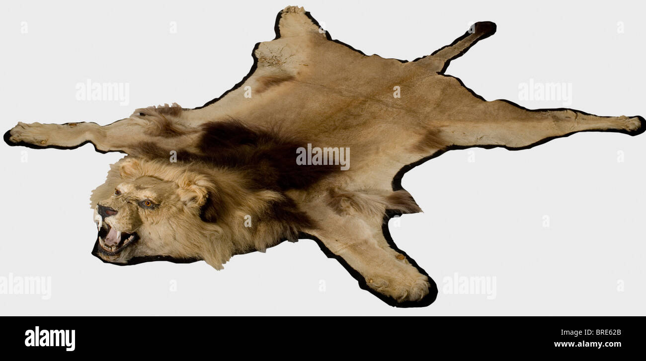 Broken Skin High Resolution Stock Photography and Images - Alamy