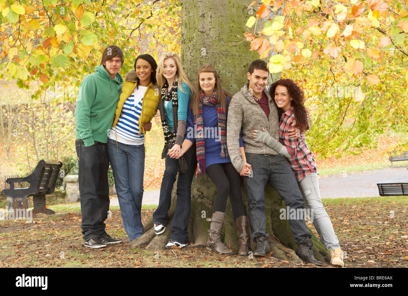 Group Of Six Teenage Friends Leaning Against Tree In Autumn Park Stock ...