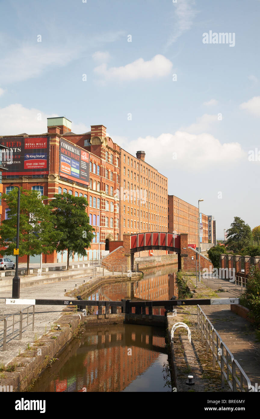 Royal Mills with Rochdale canal in Ancoats Manchester UK Stock Photo ...