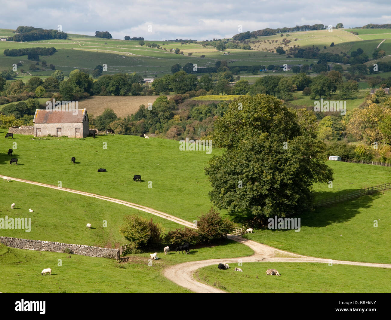 Rural countryside surrounding the Tissington Trail, Derbyshire England ...