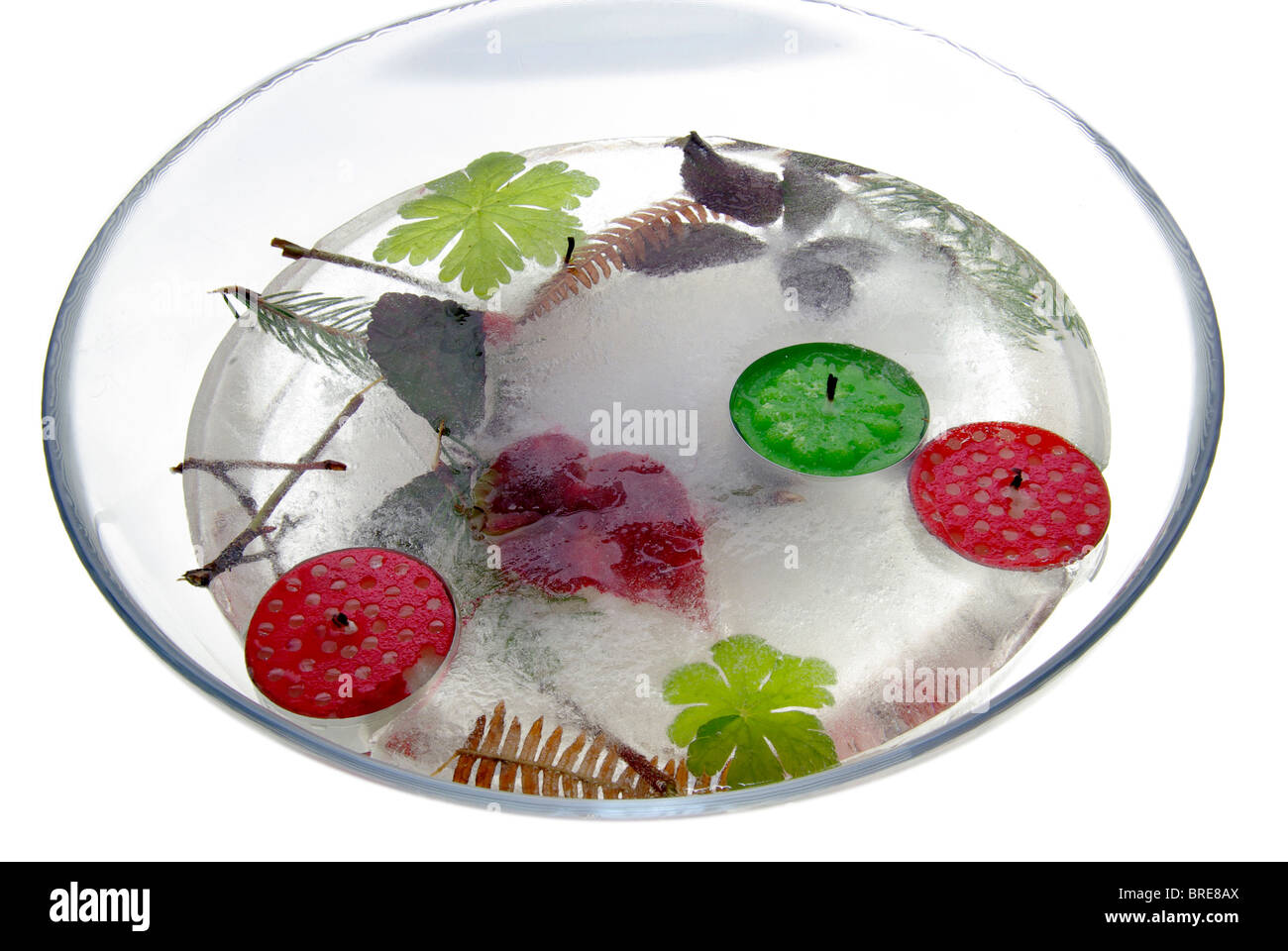 frozen wild fruits and leaves Stock Photo - Alamy