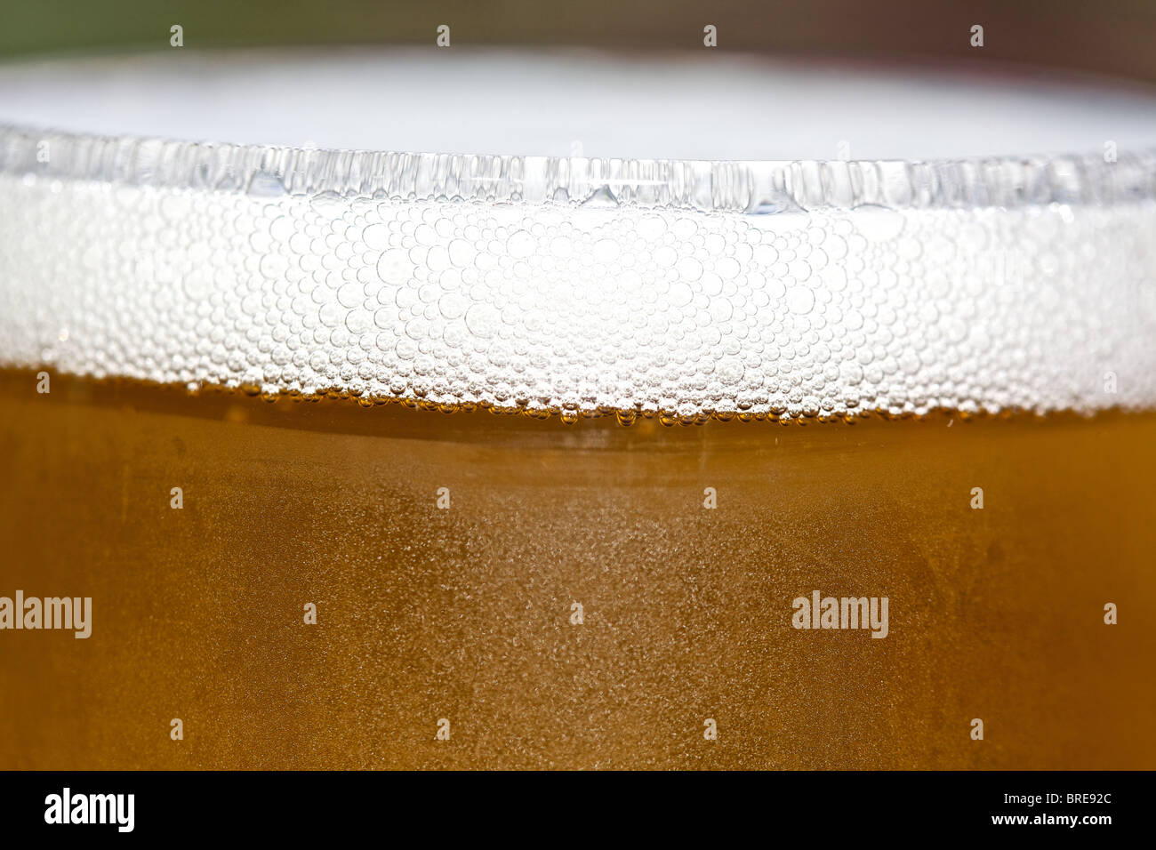 head on a pint of lager Stock Photo - Alamy