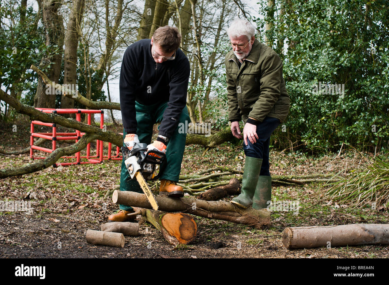Cutting up logs in the garden with a chainsaw Stock Photo - Alamy