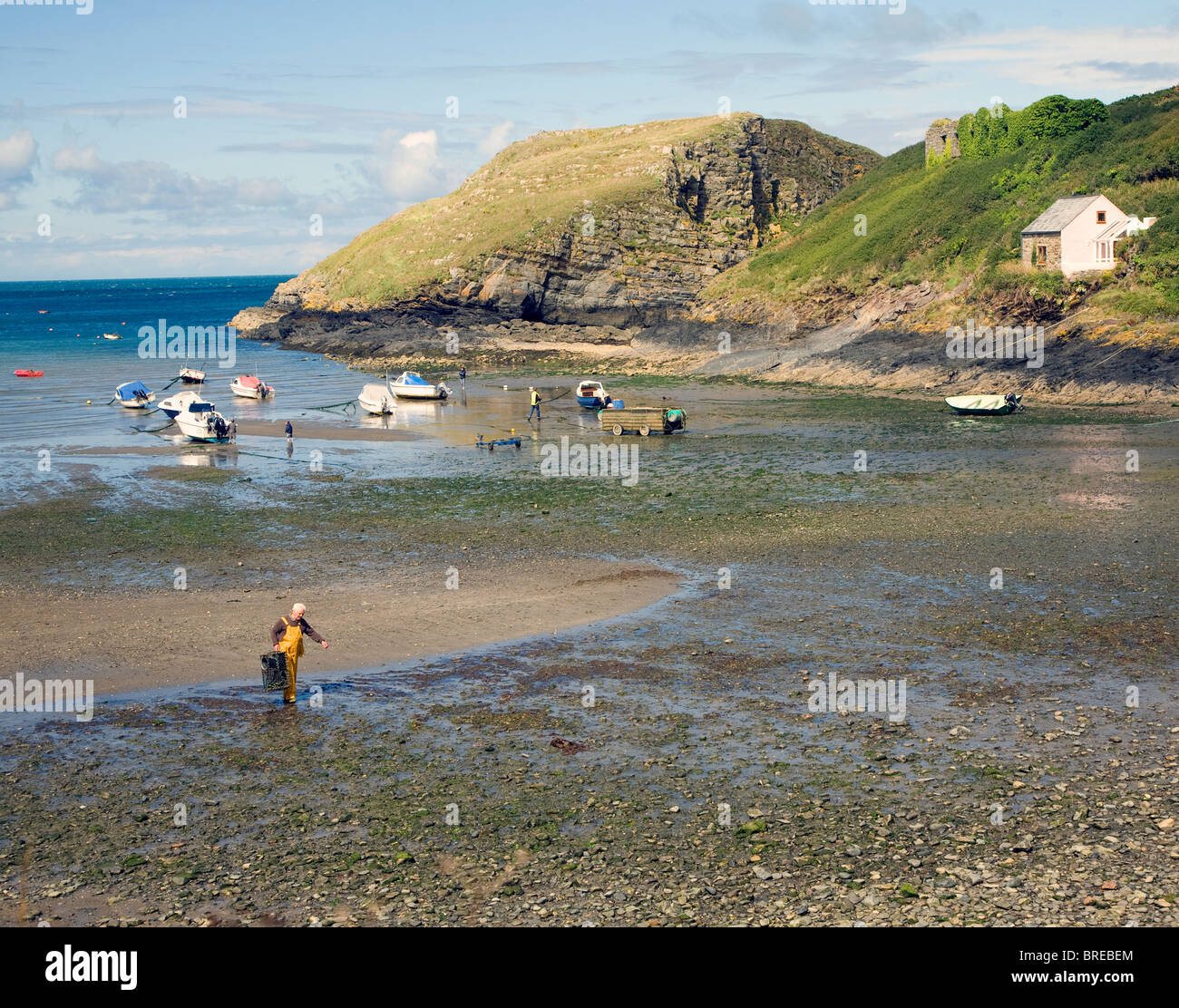 Abercastle hi-res stock photography and images - Alamy
