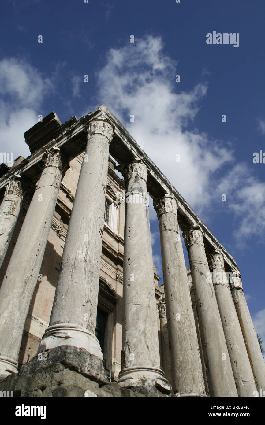 temple of antoninus and faustina, roman forum, rome Stock Photo - Alamy