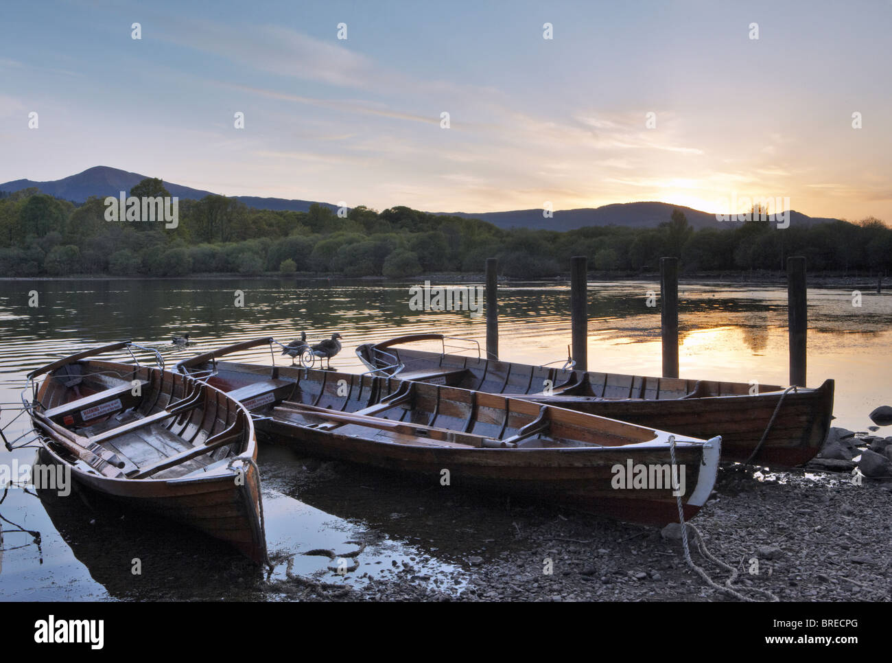 Lake district derwentwater boats hi-res stock photography and images ...