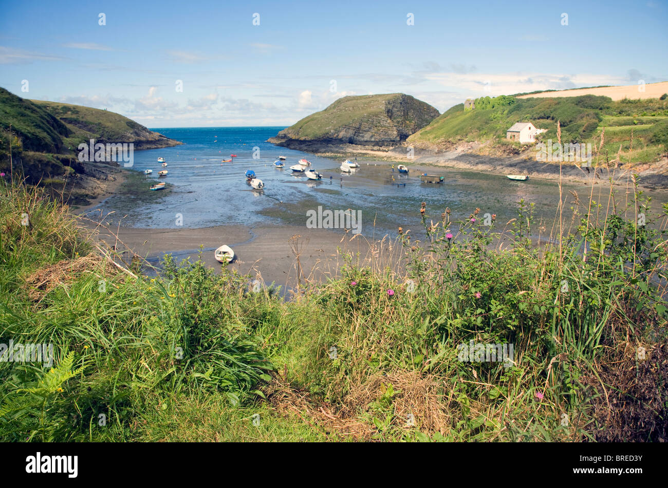 Abercastle bay, Pembrokeshire, Wales Stock Photo - Alamy