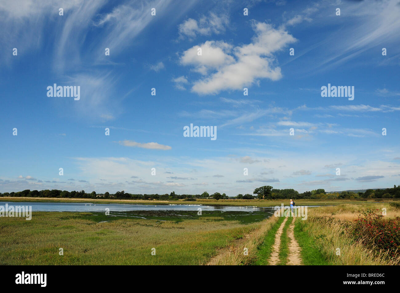 Mare's tail clouds in northerly airstream. Fishbourne Creek, Chichester ...