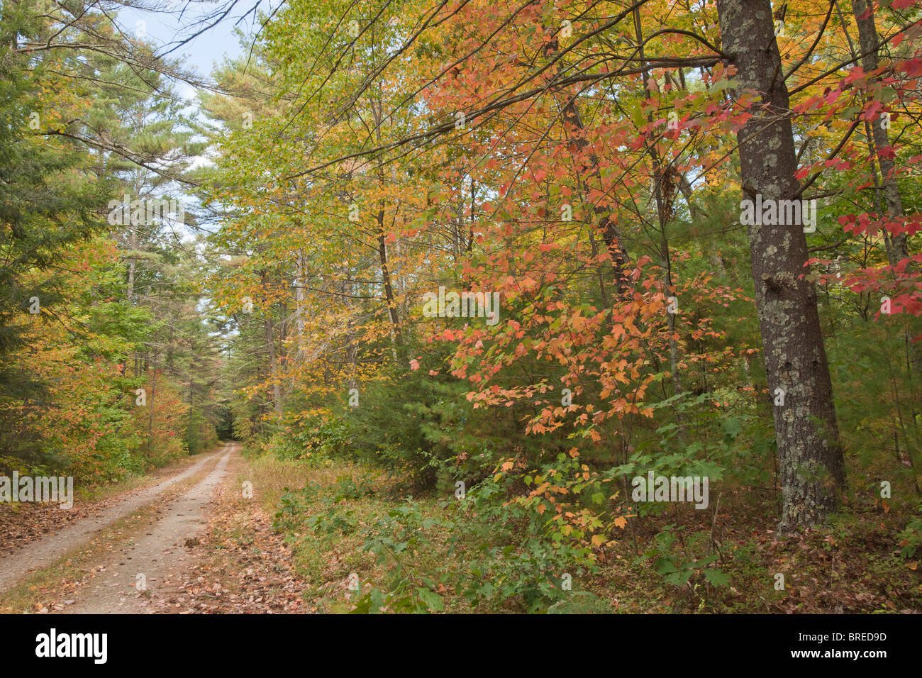 Salem massachusetts autumn foliage hi-res stock photography and images ...