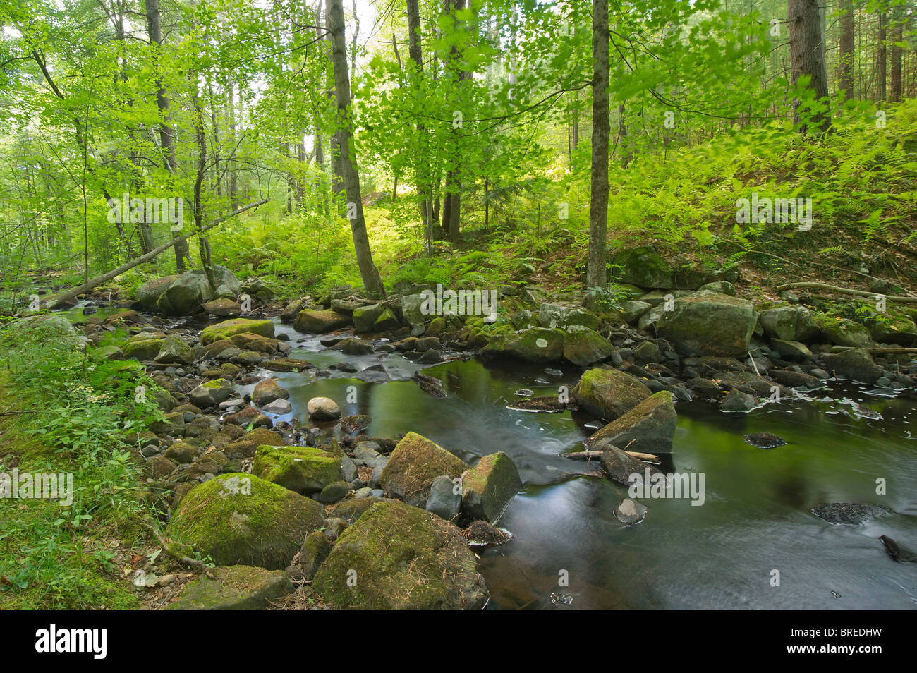 The Swift River Flowing Toward the Quabbin Reservoir Stock Photo - Alamy