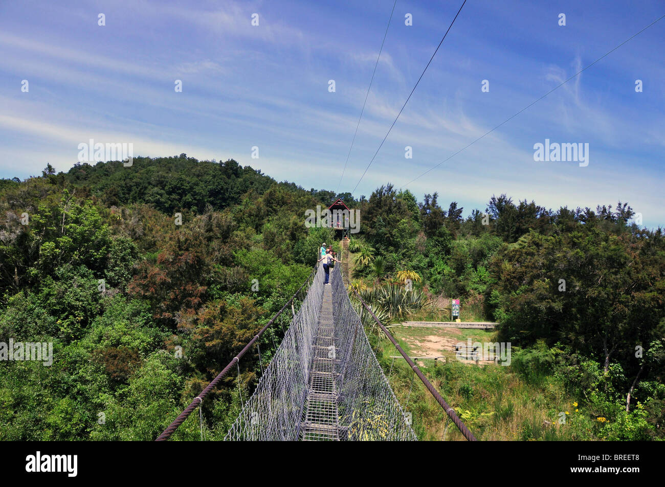 New Zealand, South Island, Nelson Lakes National Park. suspension ...