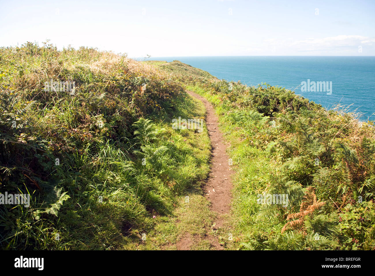 Coastal footpath near Trefin, Pembrokeshire Coast national park, Wales ...