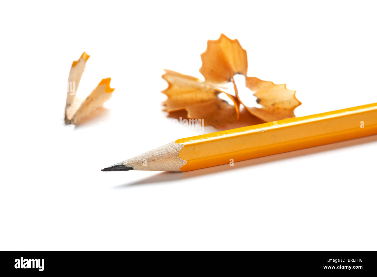 tip of sharpened pencil and shavings on white background Stock Photo ...