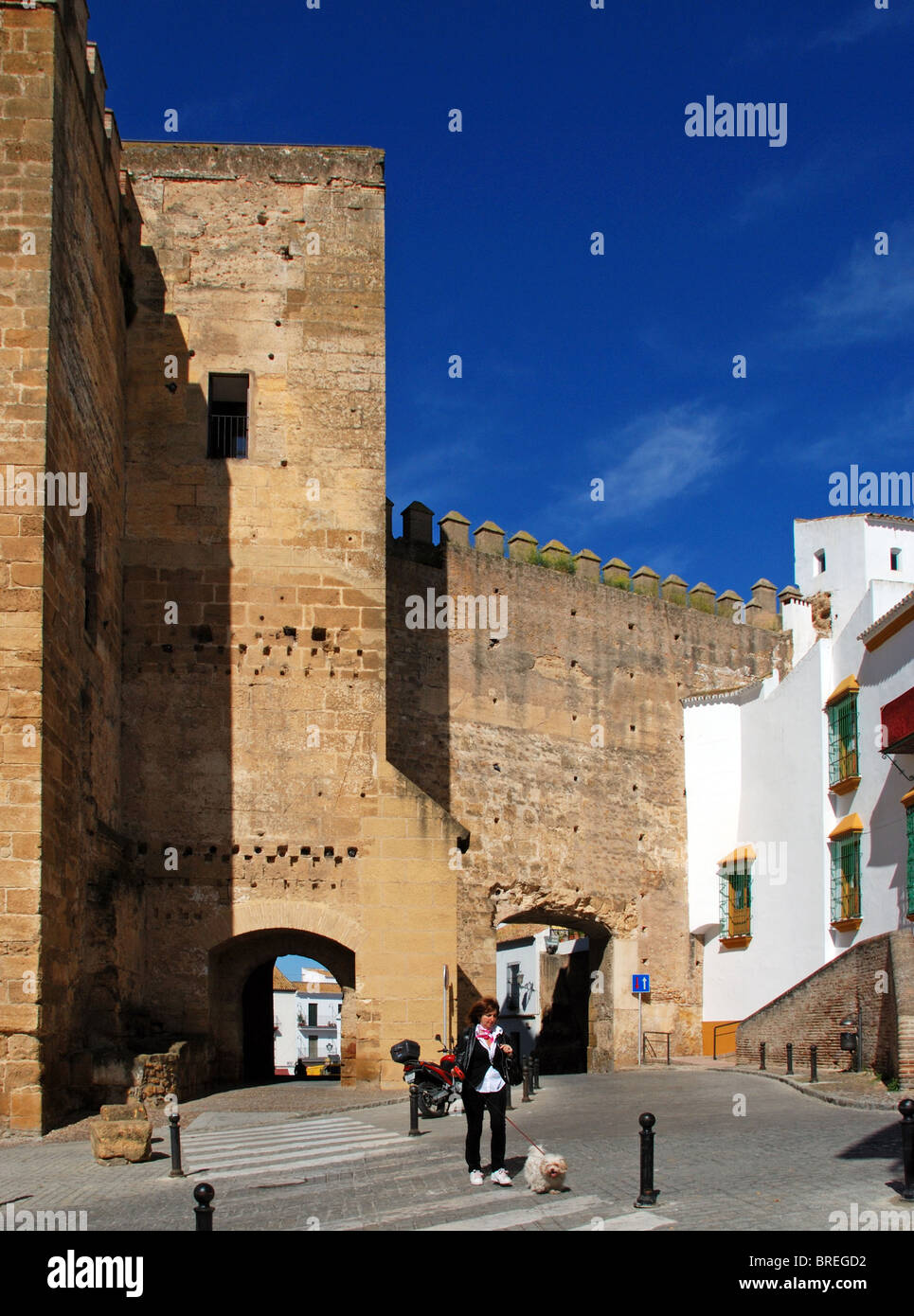 Castle (Alcazar) and Puerta de Sevilla, Carmona, Seville Province ...