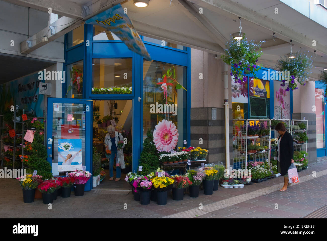 Flower shop Järnvägsgatan central Helsingborg Skåne Sweden Europe Stock ...