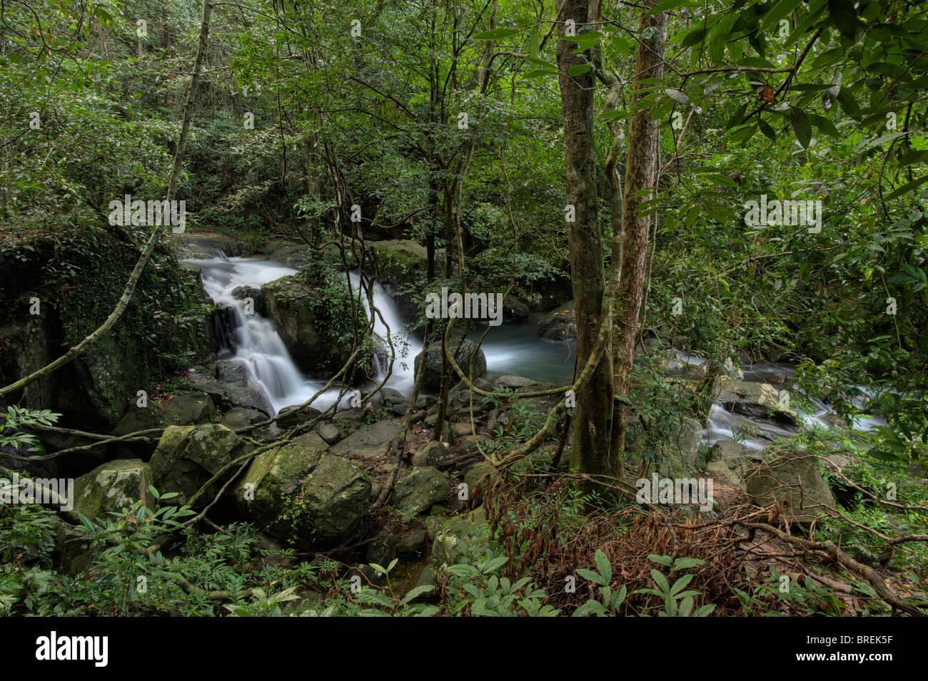Pang sida national park hi-res stock photography and images - Alamy