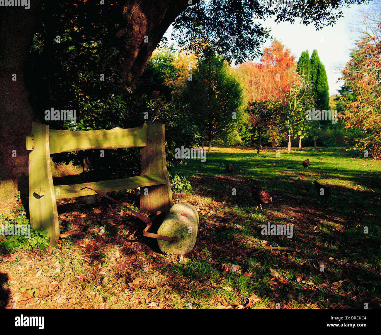 Altamont Garden, Co Carlow, Ireland; The Lake At Altamont Stock Photo ...