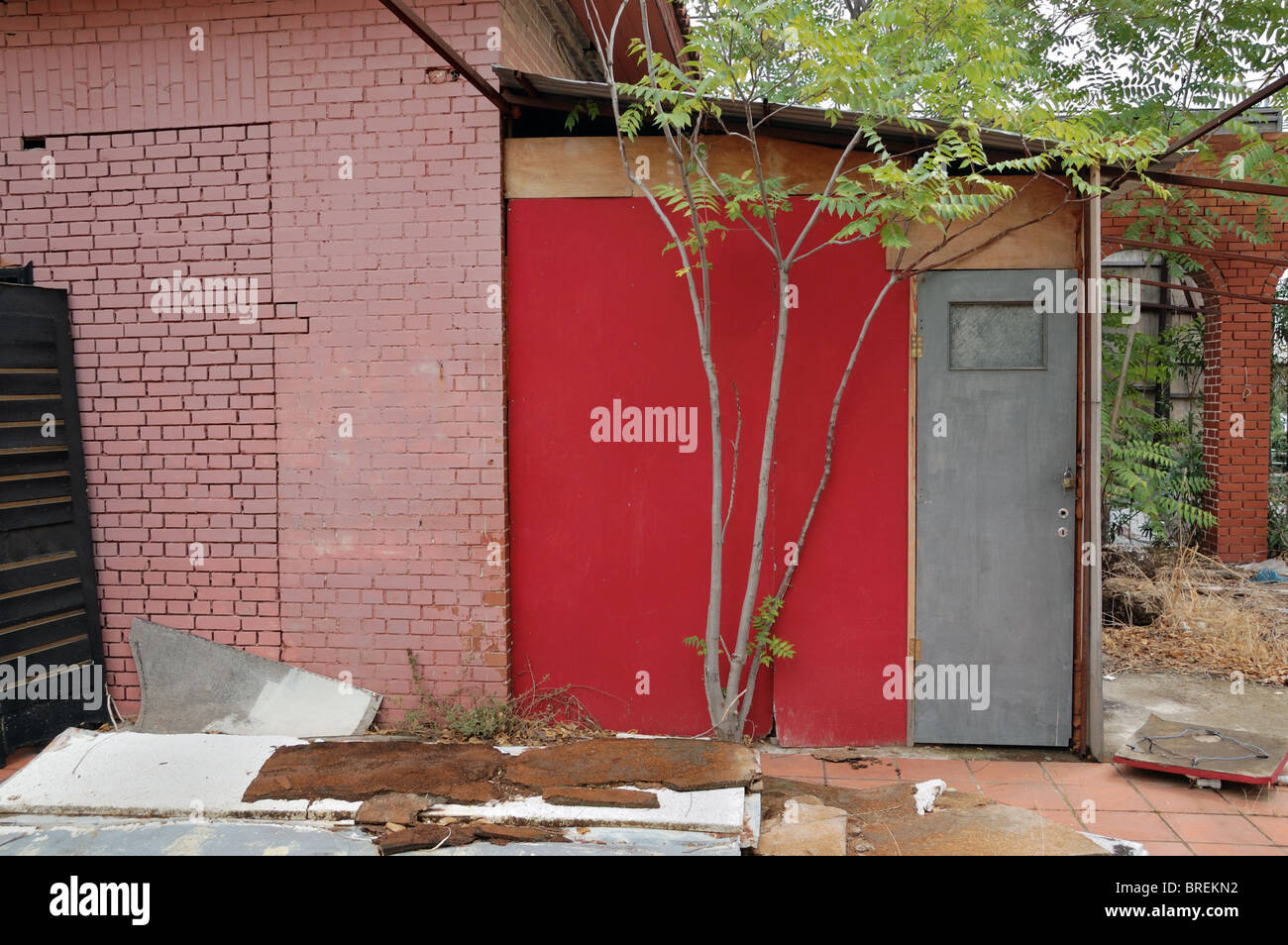 Tree growing next to the door of an abandoned building Stock Photo - Alamy