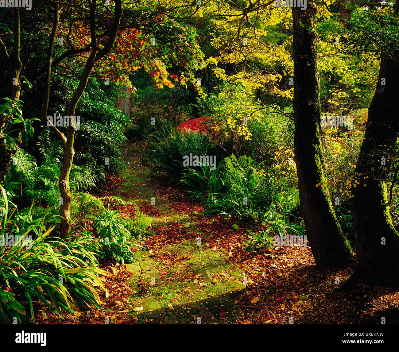 Mount Stewart, Co Down, Ireland Stock Photo - Alamy
