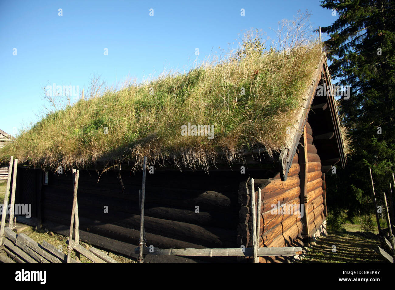 Traditional timber house with grass on the roof Norway Stock Photo - Alamy