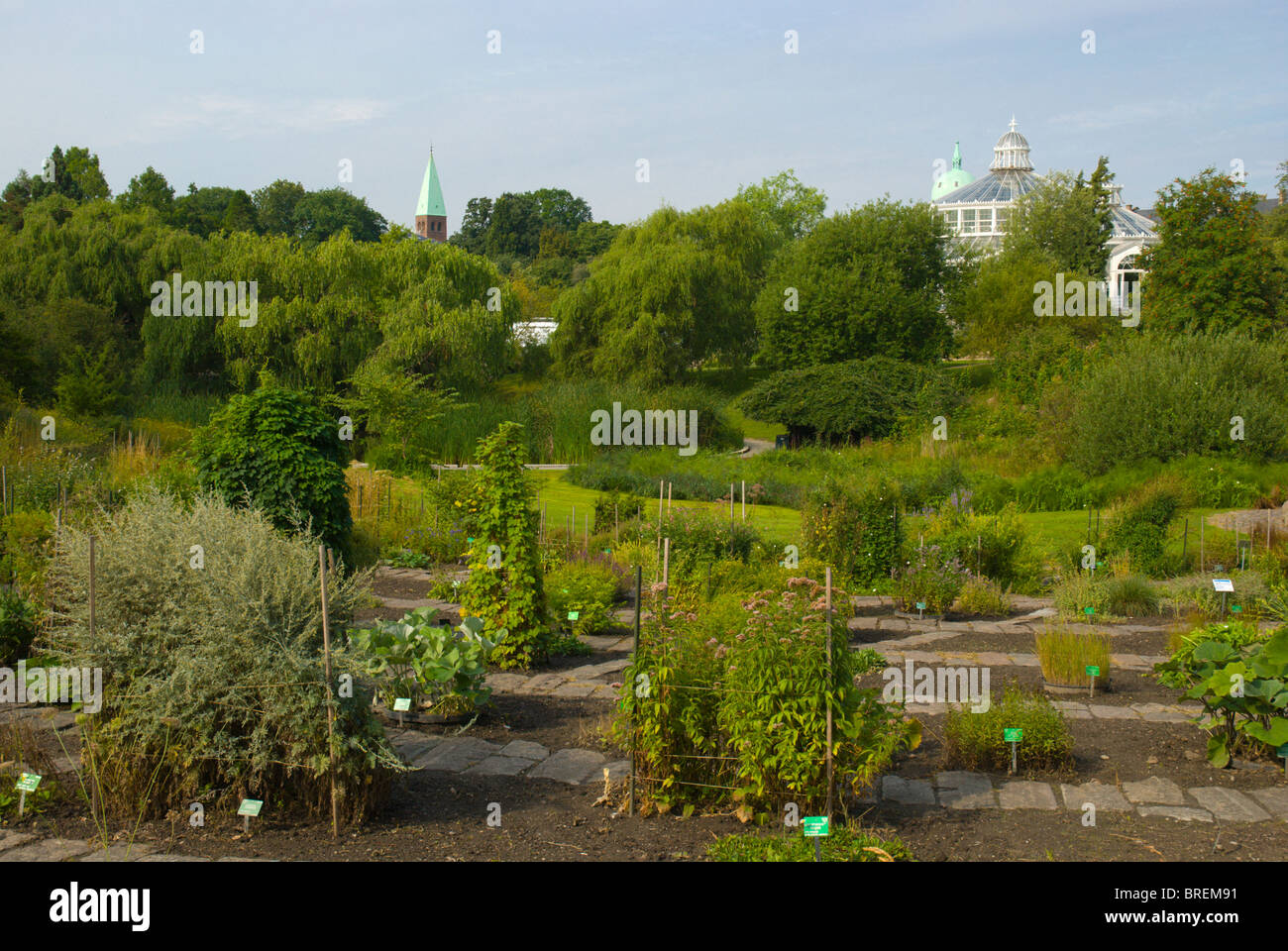 Botanisk Have the Botanical Gardens park central Copenhagen Denmark ...