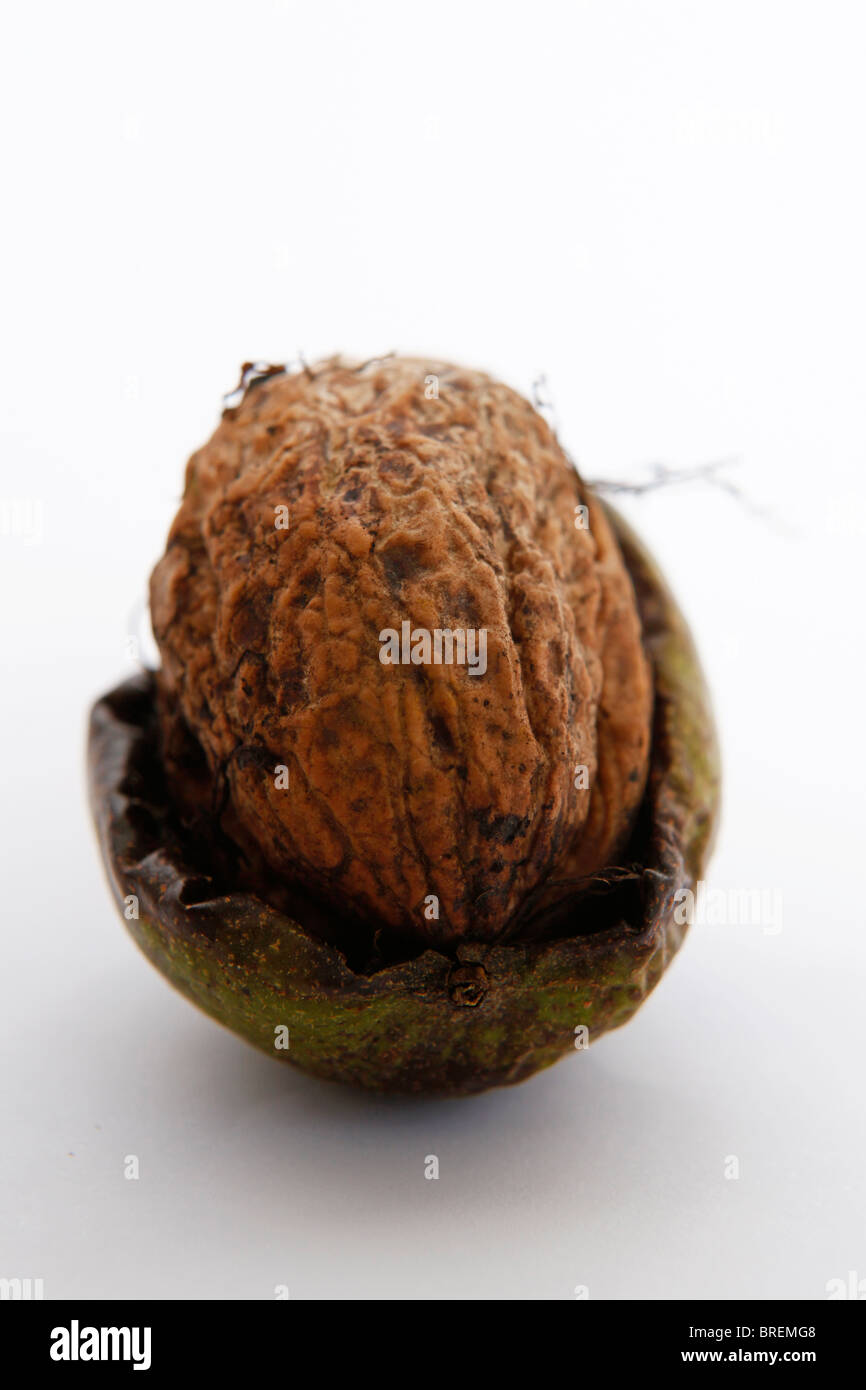 Walnut husk hi-res stock photography and images - Alamy