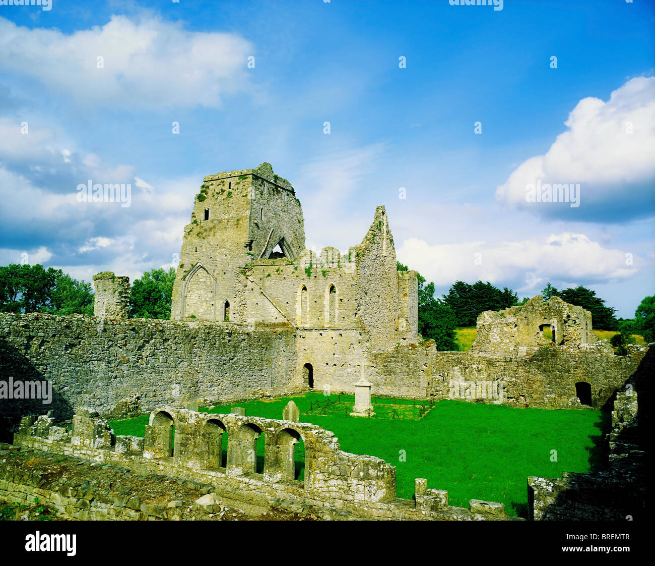 Athassel Priory, Co Tipperary, Ireland, Priory Of The Augustinian ...