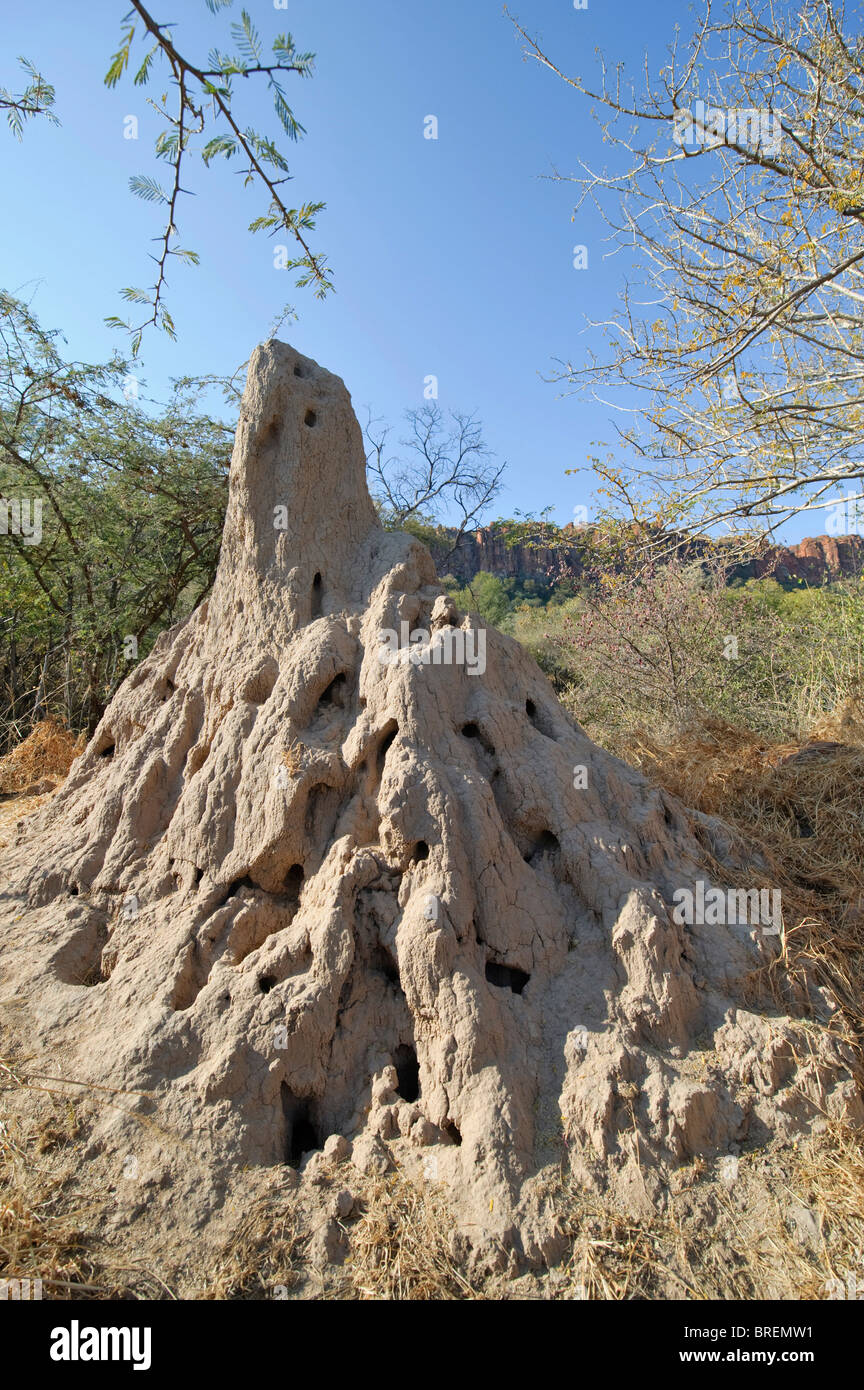Termite Mound Africa
