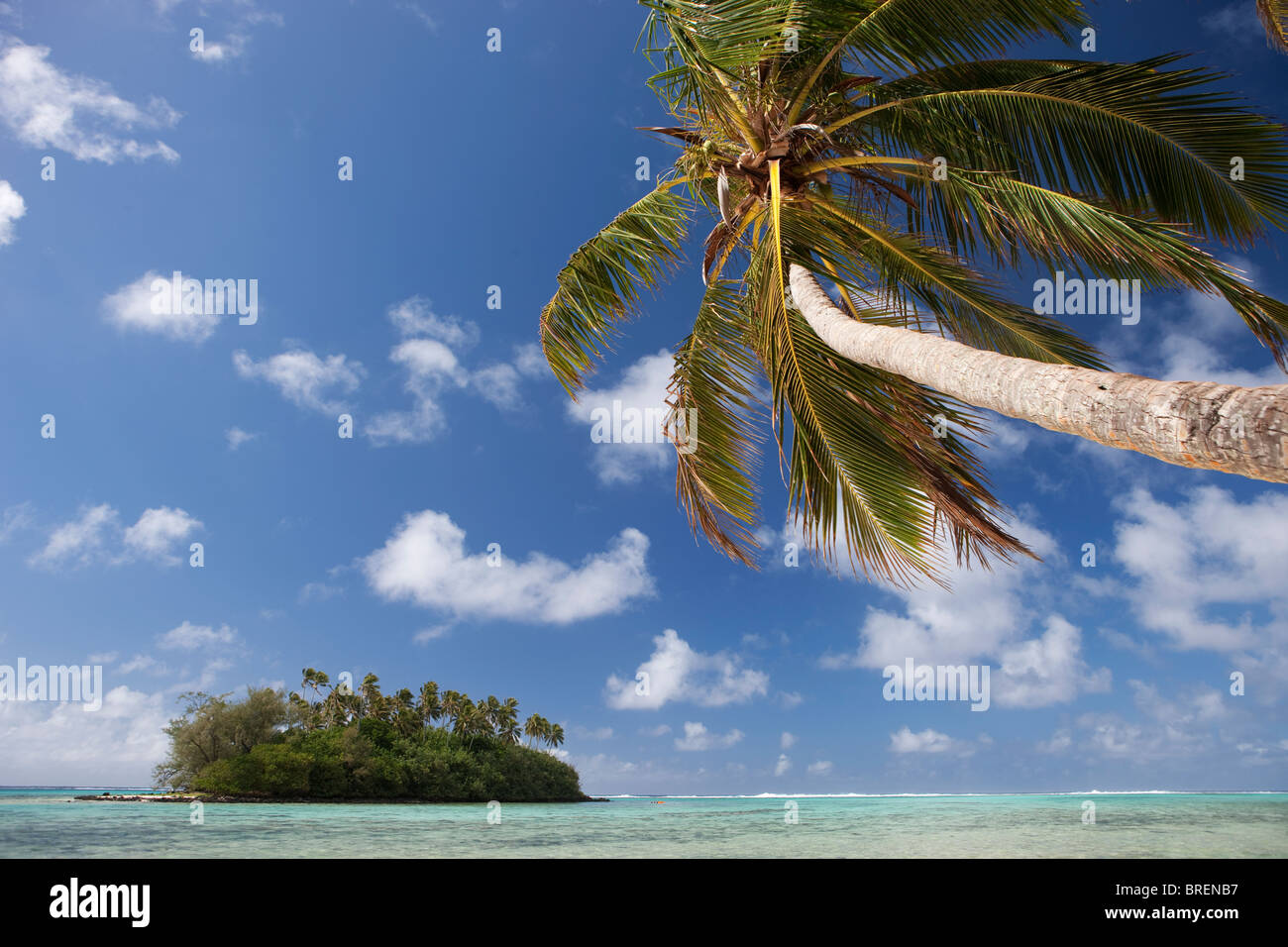 Rarotonga, The Cook Islands Stock Photo - Alamy