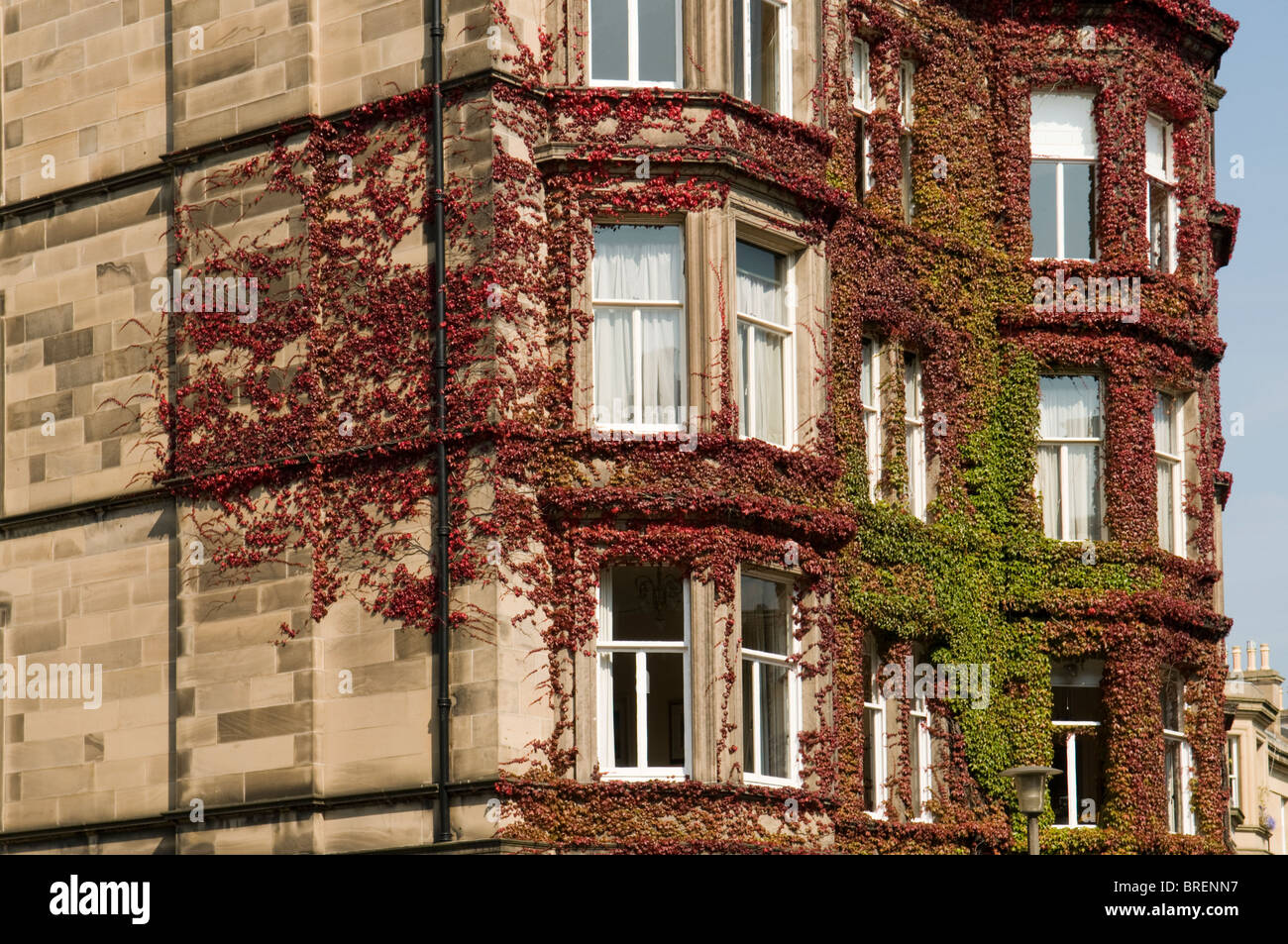 Edinburgh tenements georgian hi-res stock photography and images - Alamy